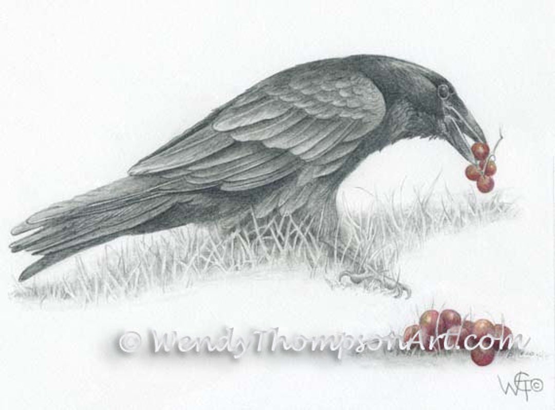 Grapeater Ravens - Art Note Cards - Original Design Corvid Art, Raven ...