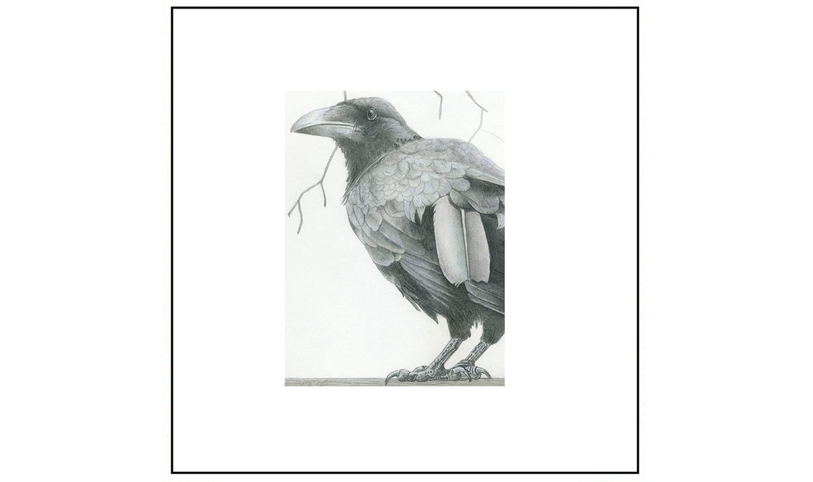 Raven Art Card ~"little Bent Wing" ~ Bird Art Nature Design - Etsy
