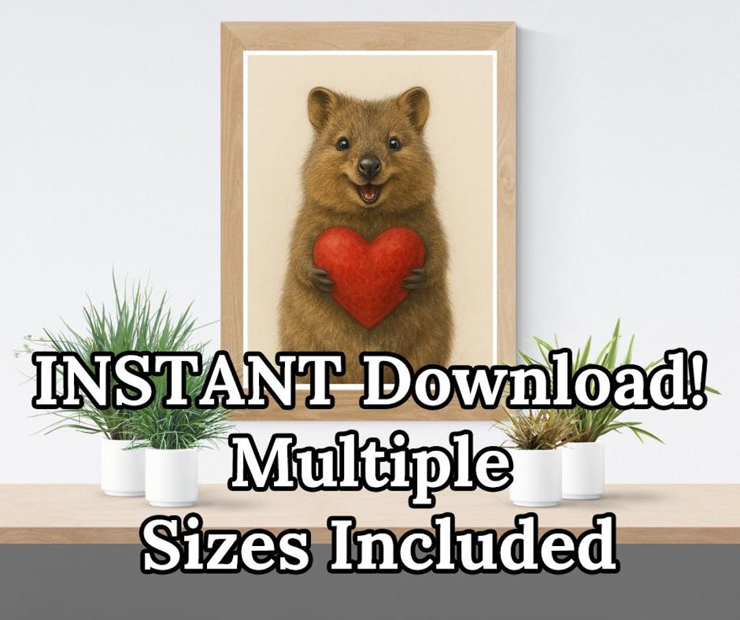 Wall Art Printable Cute Quokka Holding Heart – Realistic Animal Drawing ...