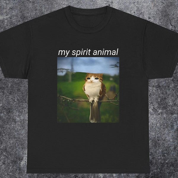 Meowl Gift - 60+ Gift Ideas for 2026