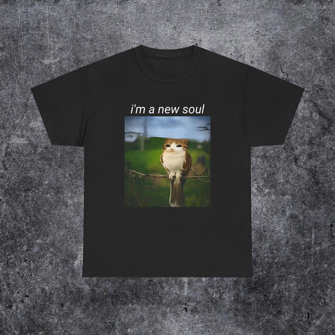 I'm a New Soul Funny Cat Owl Meme, Funny Meowl Meme Shirt, Silly Cat ...