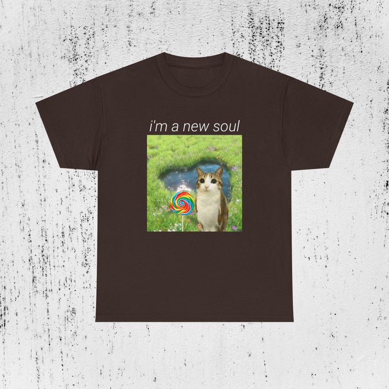 Funny Meowl Meme, Cat Owl Meme, I'm a New Soul Cat Meme Shirt, Gift for ...