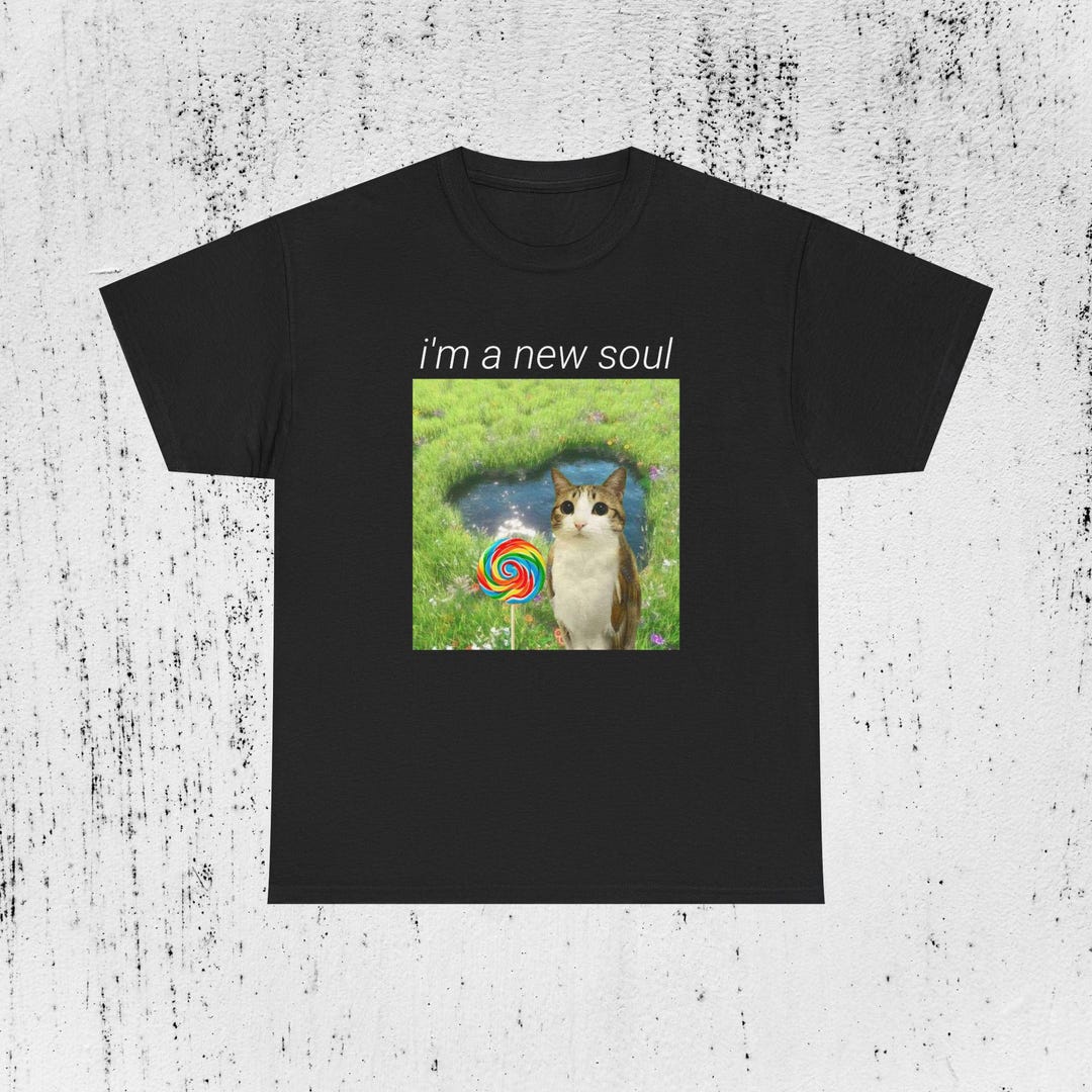 Funny Meowl Meme, Cat Owl Meme, I'm a New Soul Cat Meme Shirt, Gift for ...