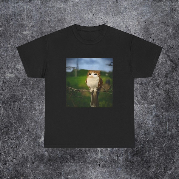 I Am Not a Robot Game on Neal.fun Where is the Guitar Cat - Etsy Canada