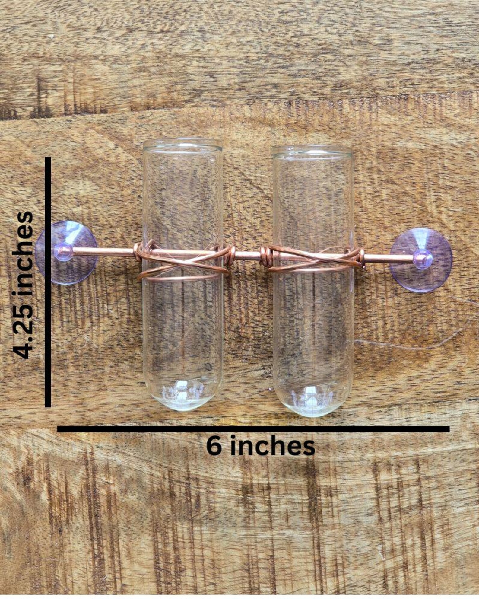 Window Hanging Copper Wire Plant Propagation Stand - 2 Glass Vial - Etsy