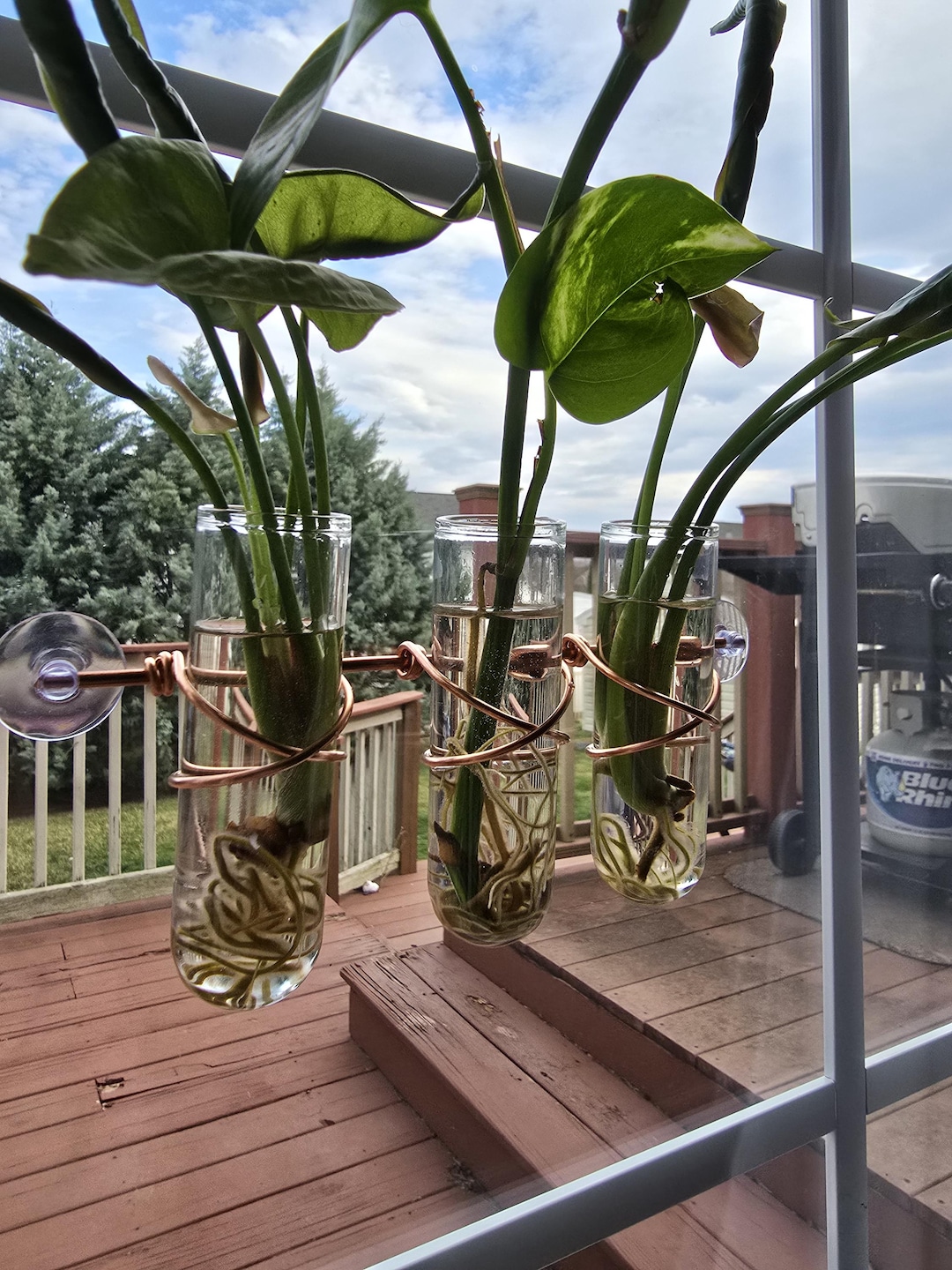 Window Hanging Copper Plant Propagation Stand - 3 Glass Vial - Etsy