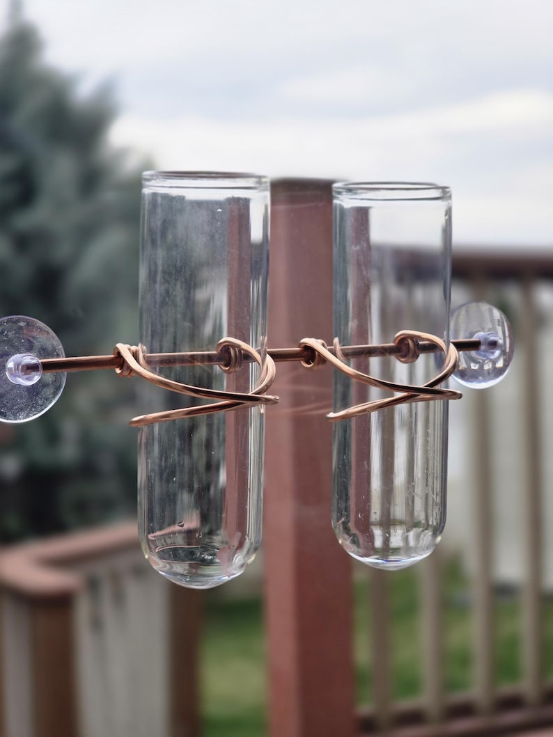 Window Hanging Copper Wire Plant Propagation Stand - 2 Glass Vial - Etsy