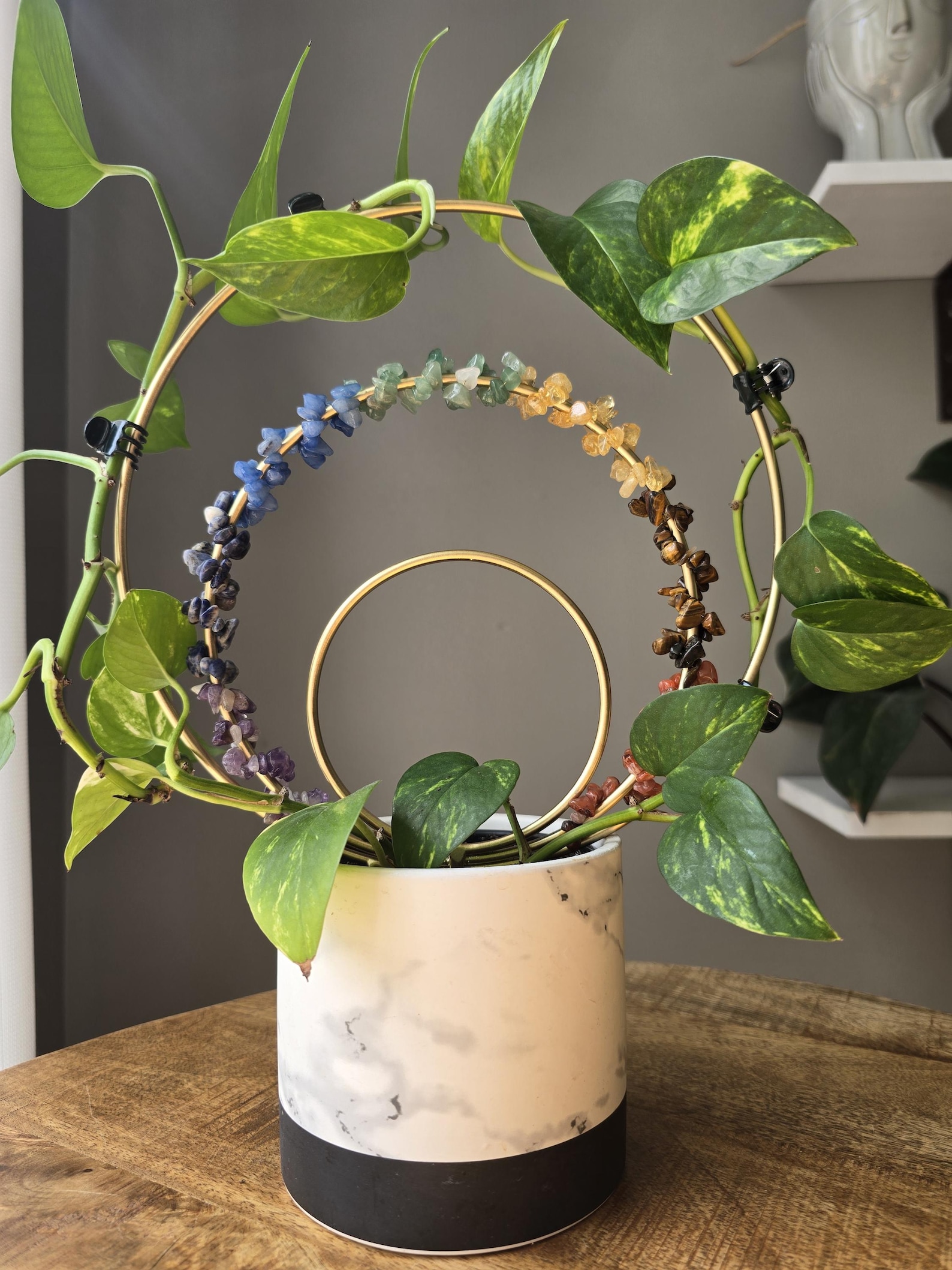 Stone Beaded Three Loop Plant Trellis Gold or Black - Etsy