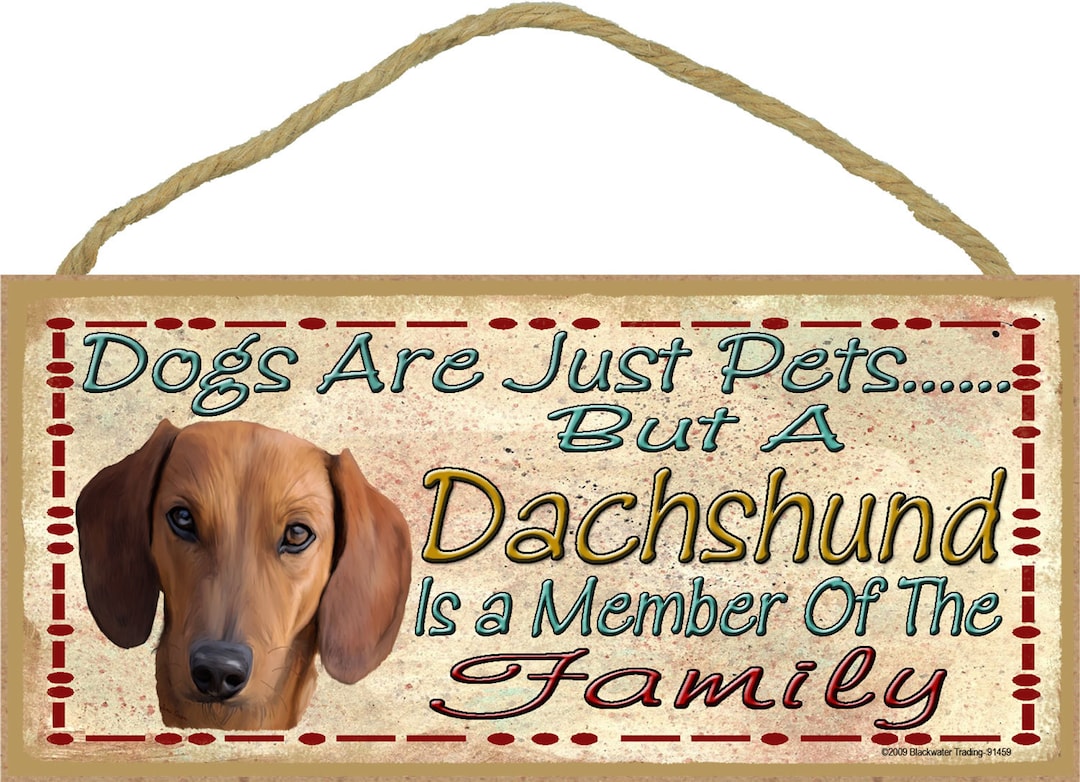 Dogs Are Just Pets but A DACHSHUND is A Member of the Family Cute Dog ...