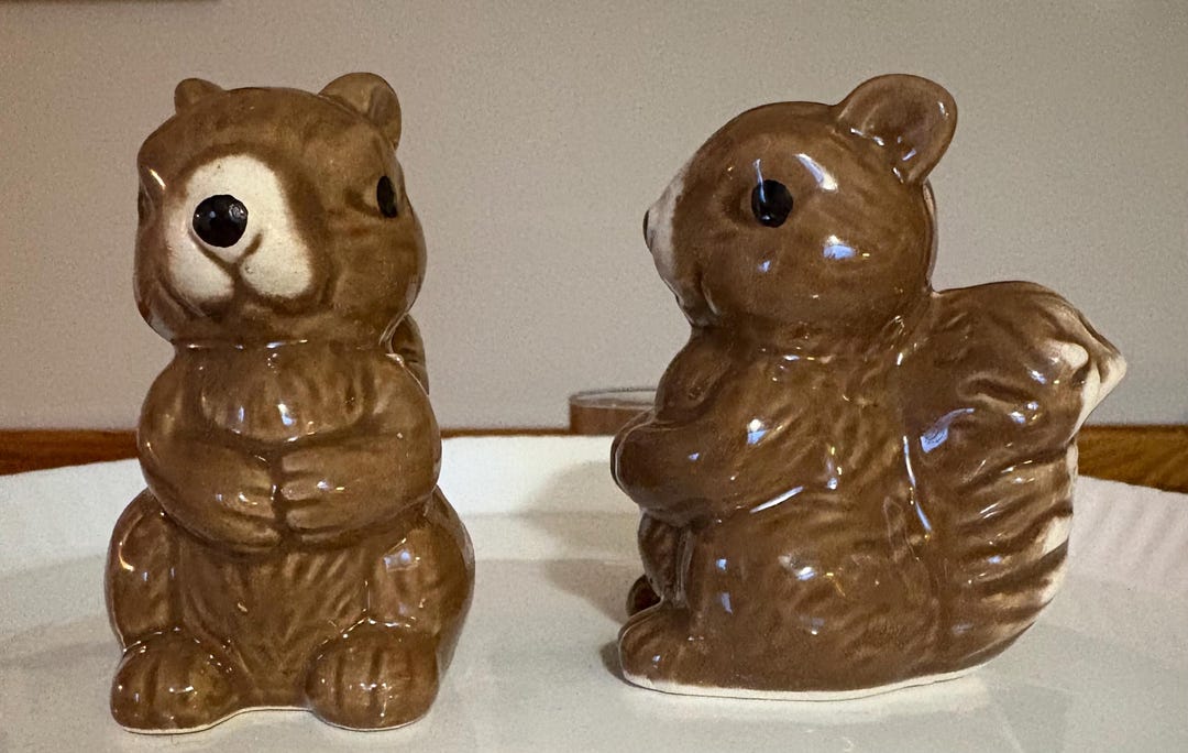 Squirrel Salt and Pepper Shaker Set - Etsy