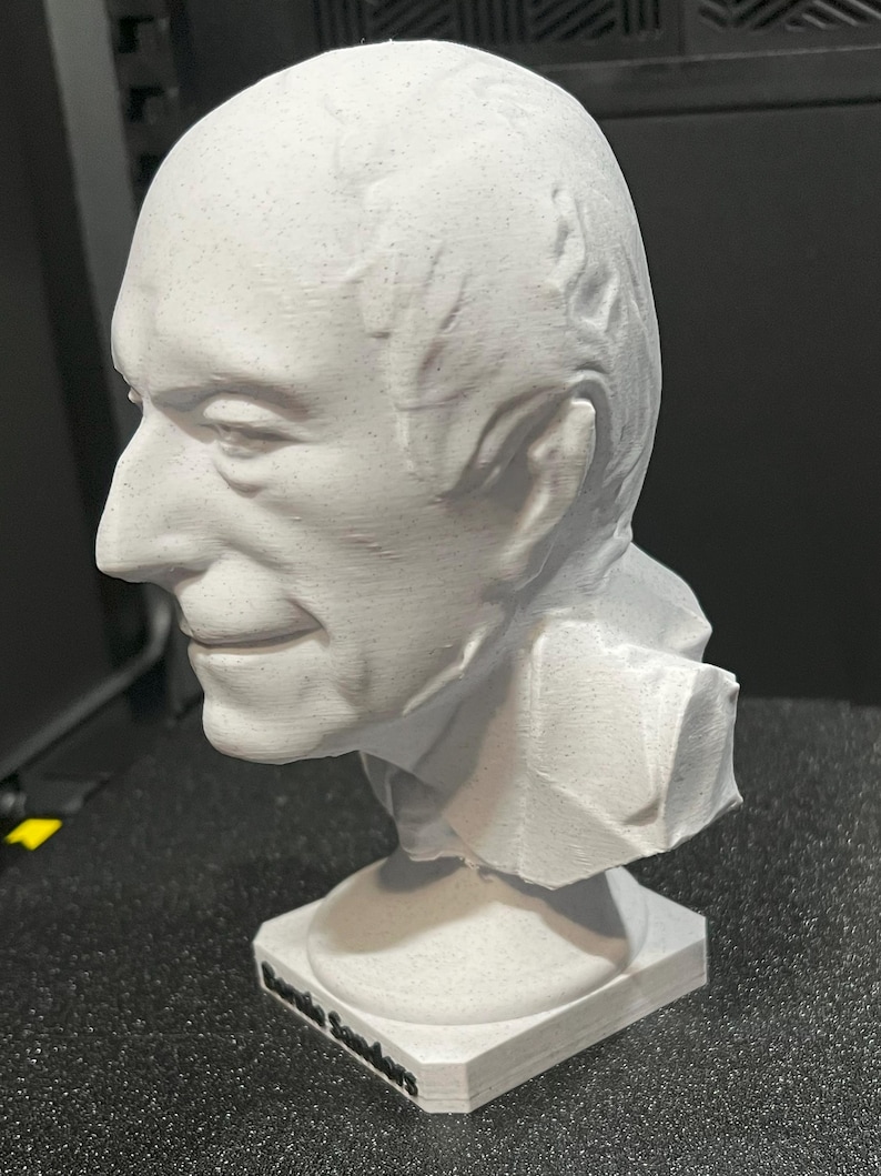Custom 3D Printed Portrait Sculpture (bust) or Statue– Marble PLA ...