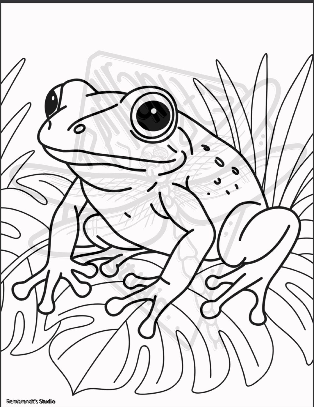 Puerto Rico Coquí Frog Coloring Page - Printable PDF Download - Etsy