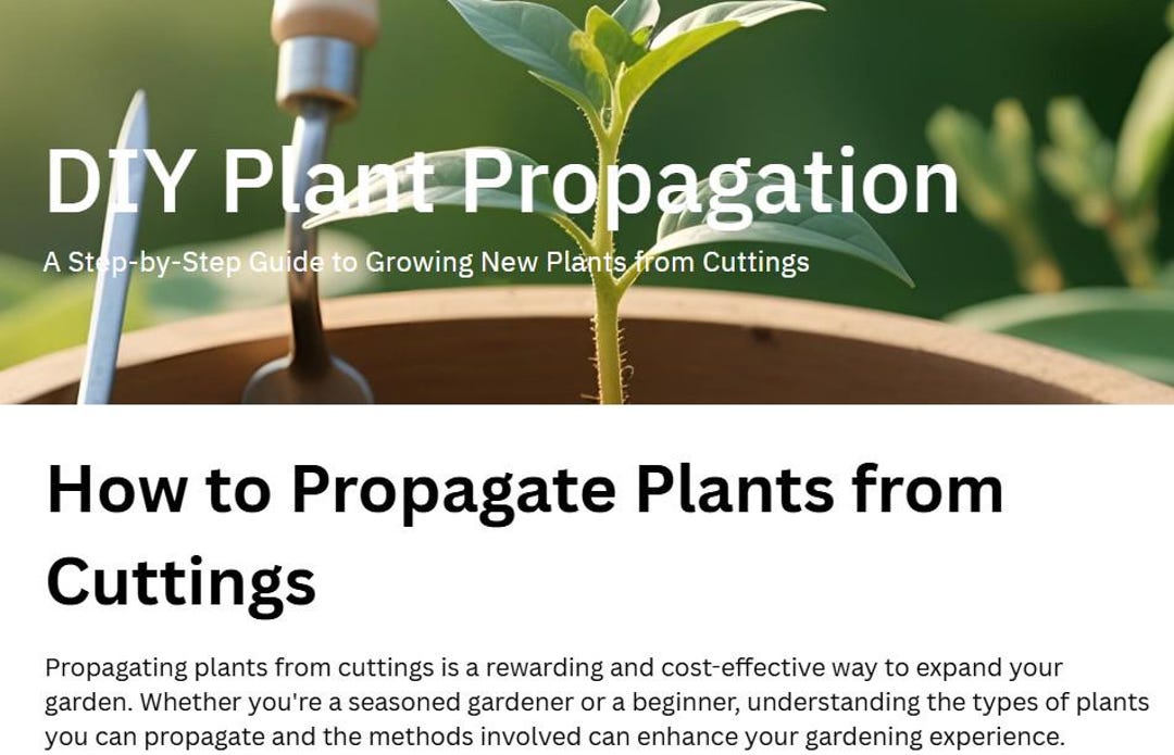 DIY Propagate Plants From Cuttings With Bonus Garden Planner - Etsy