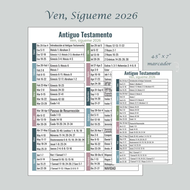 Old Testament Spanish - Etsy