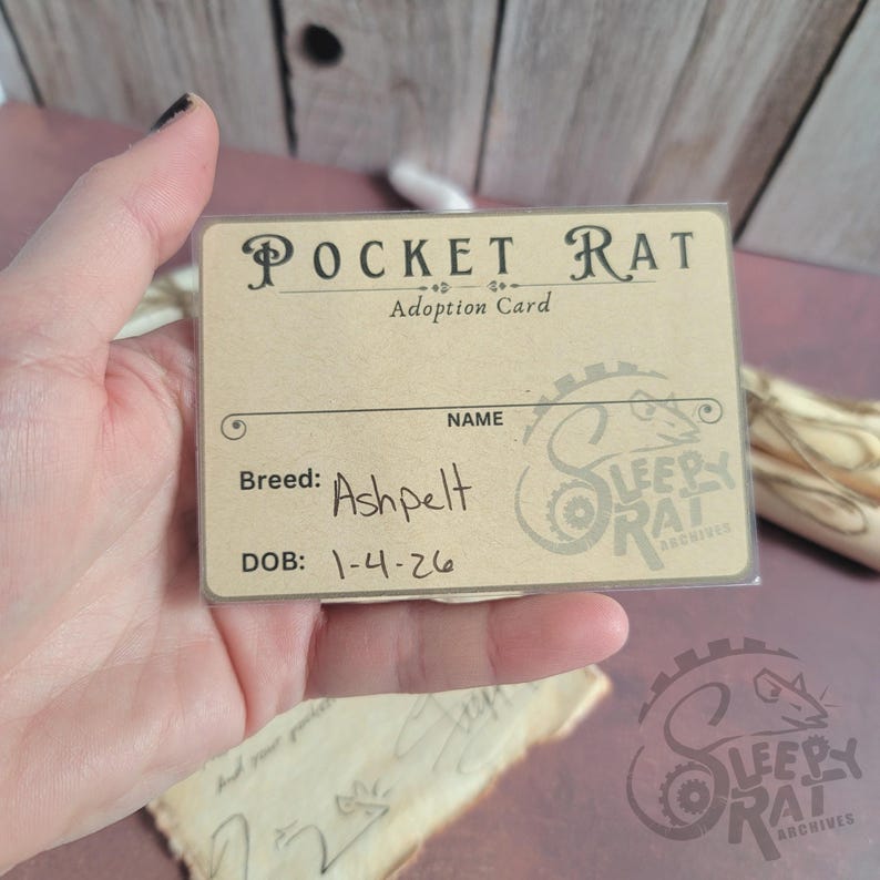 Morningbrew Pocket Rat Plushie – Bean Bag Fidget Toy | Soft Minky ...