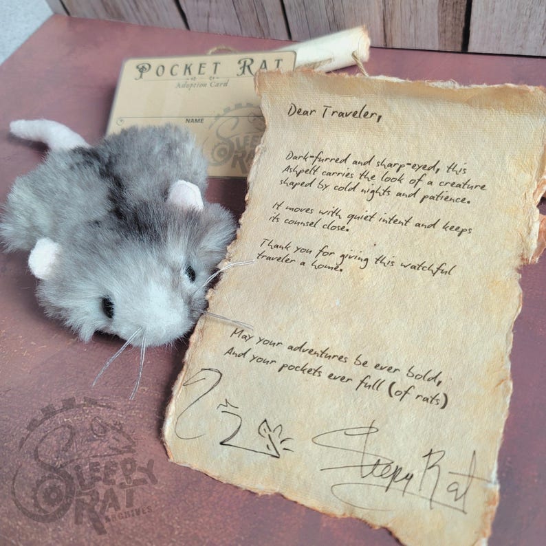 Morningbrew Pocket Rat Plushie – Bean Bag Fidget Toy | Soft Minky ...