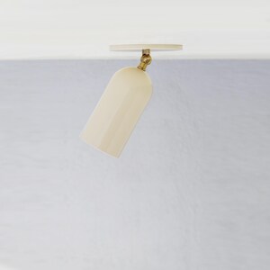 Adjustable Angle Ceiling Spot Light, Spot Light, Ceiling Light, Flush ...