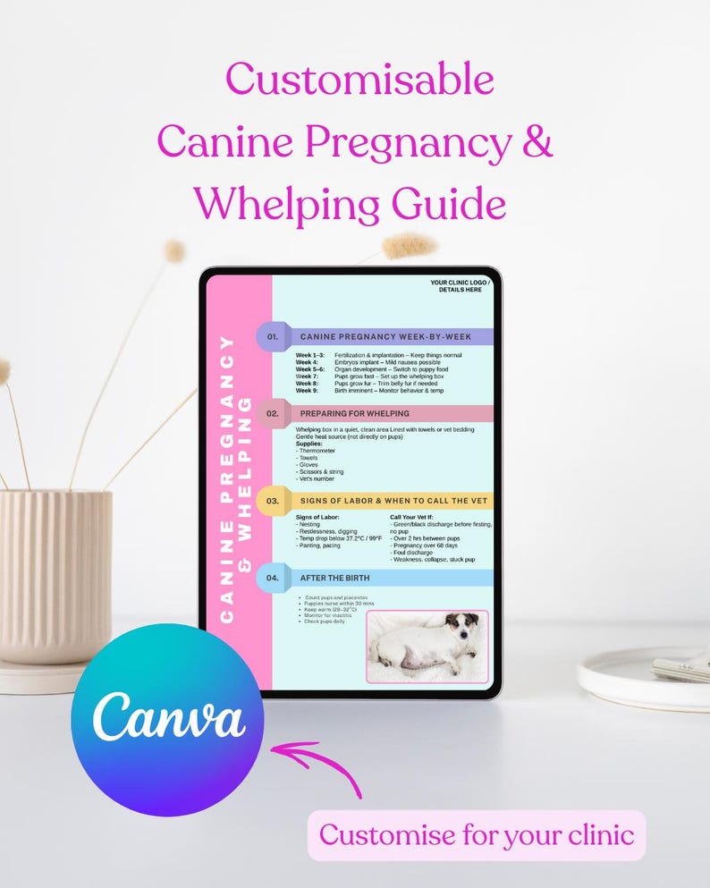 Canine Pregnancy & Whelping Poster – Editable Veterinary Clinic Handout ...