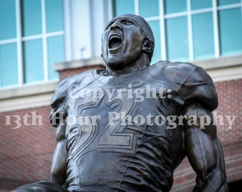 Baltimore Ravens Stadium Art Print | Etsy