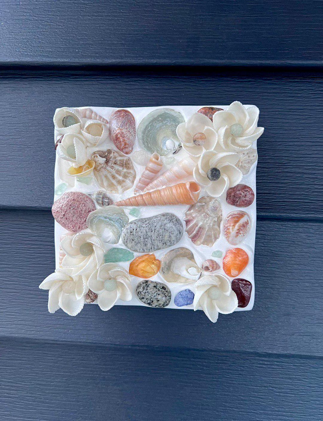 Seashell & Stone Wall Art | Seashell Wall Art | Coastal Home Décor ...