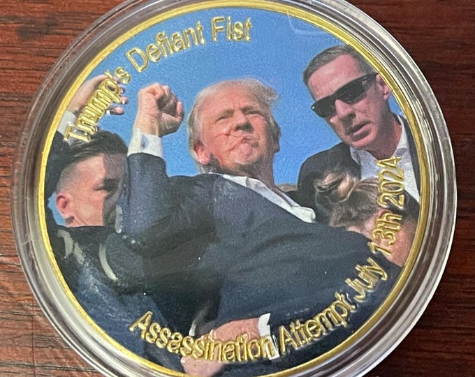 Donald Trump Defiant Fist Assassination Attempt July 13 2024 Challenge ...