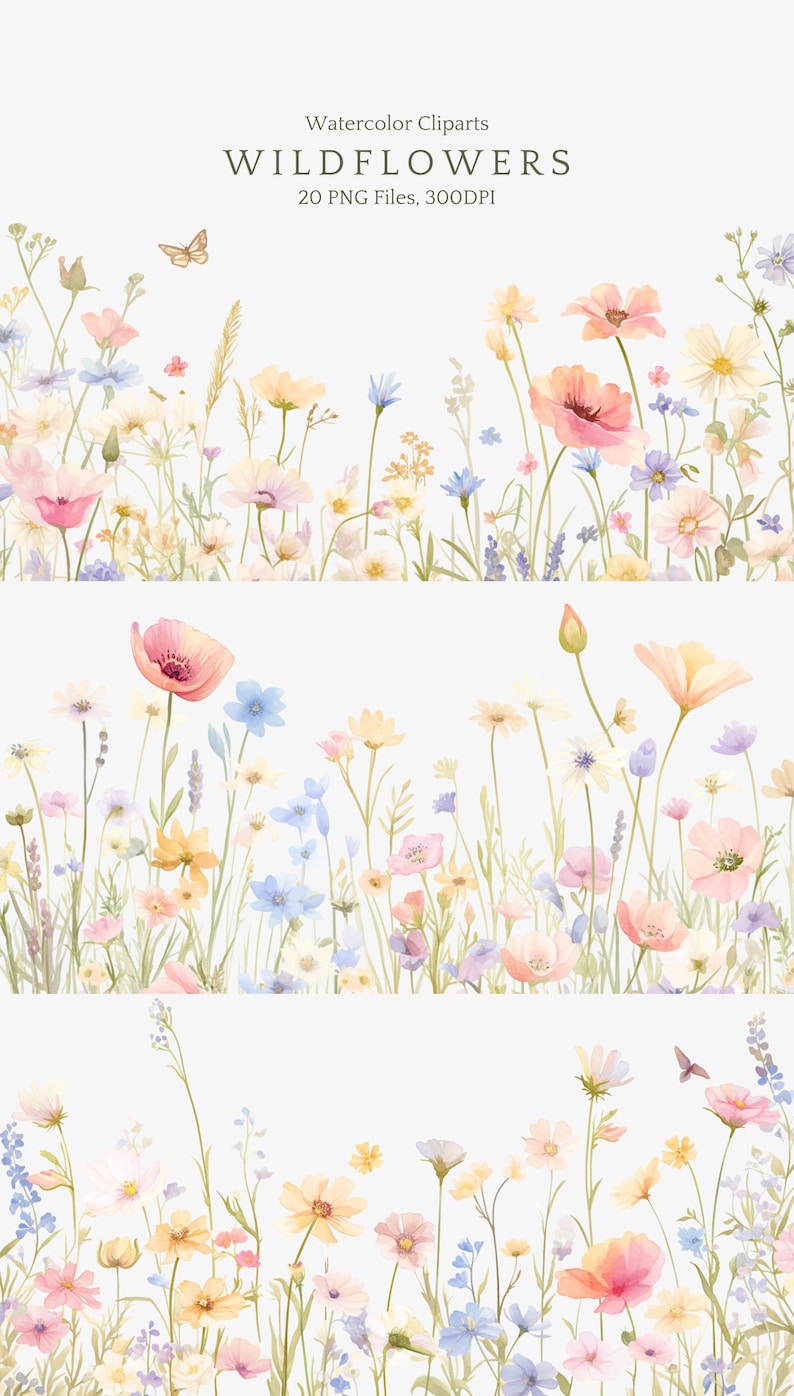 Watercolor Floral Border Png, Wildflowers Borders, Wild Flowers Clipart ...