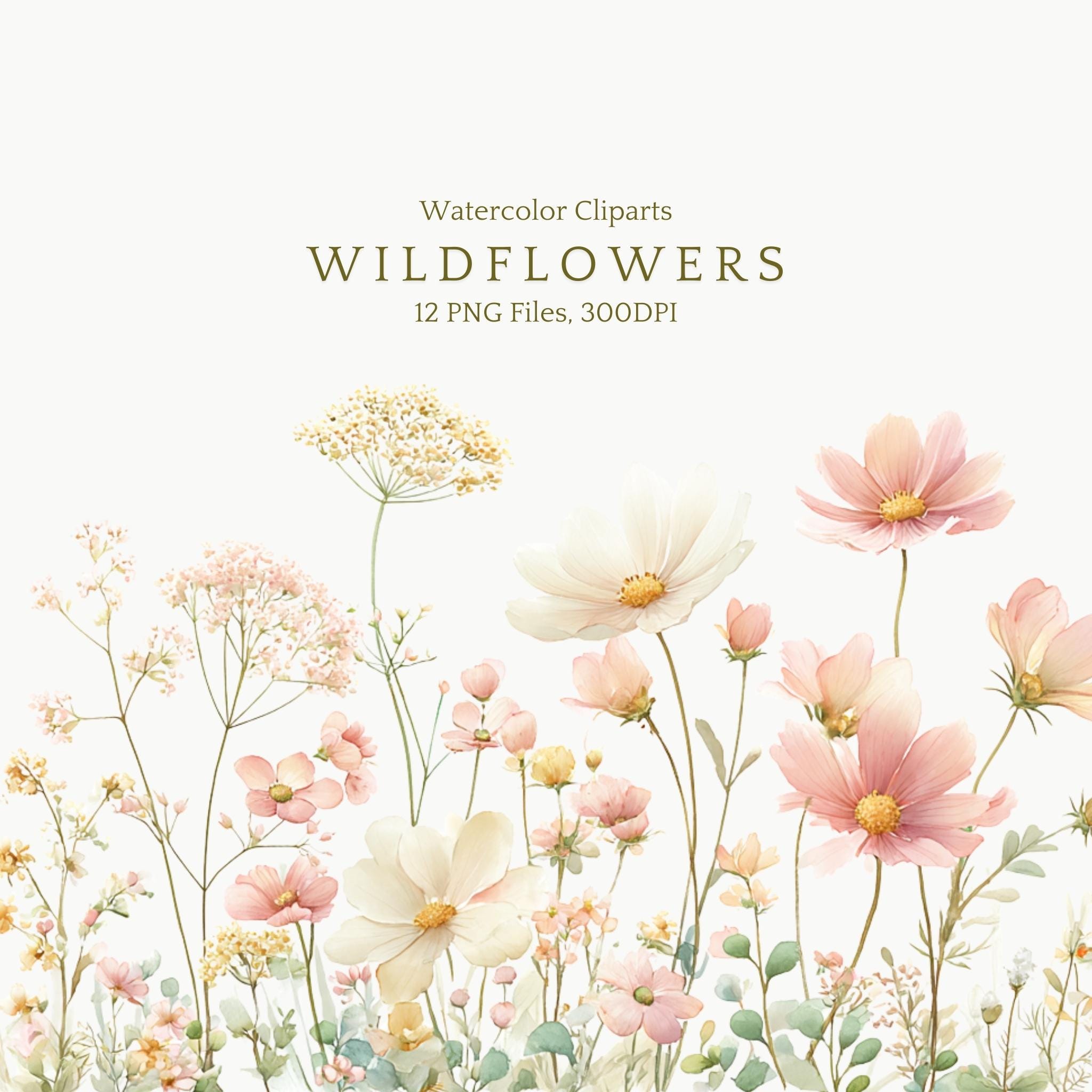 Watercolor Floral Border PNG, Blush Pink Wildflower Clipart ...