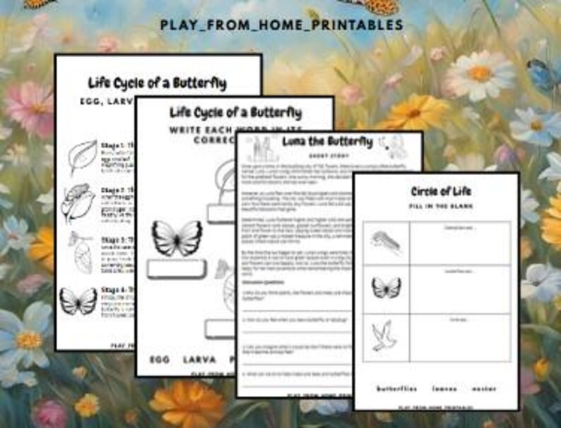 Life of a Butterfly & Caterpillar Workbook | Printables and Worksheets ...
