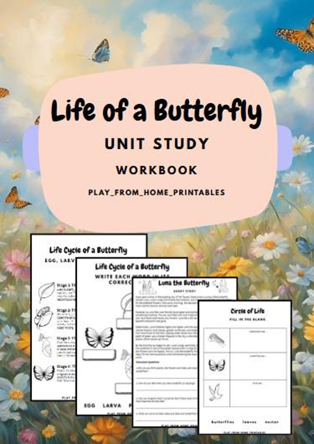 Life of a Butterfly & Caterpillar Workbook | Printables and Worksheets ...