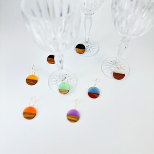 Resin Wood Disc Wine Glass Charm Set Hostess Gift Wine Lover Present ...