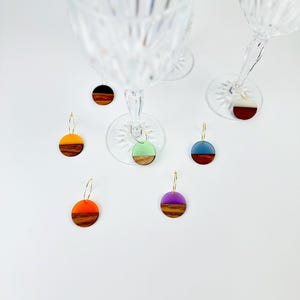 Resin Wood Disc Wine Glass Charm Set Hostess Gift Wine Lover Present ...