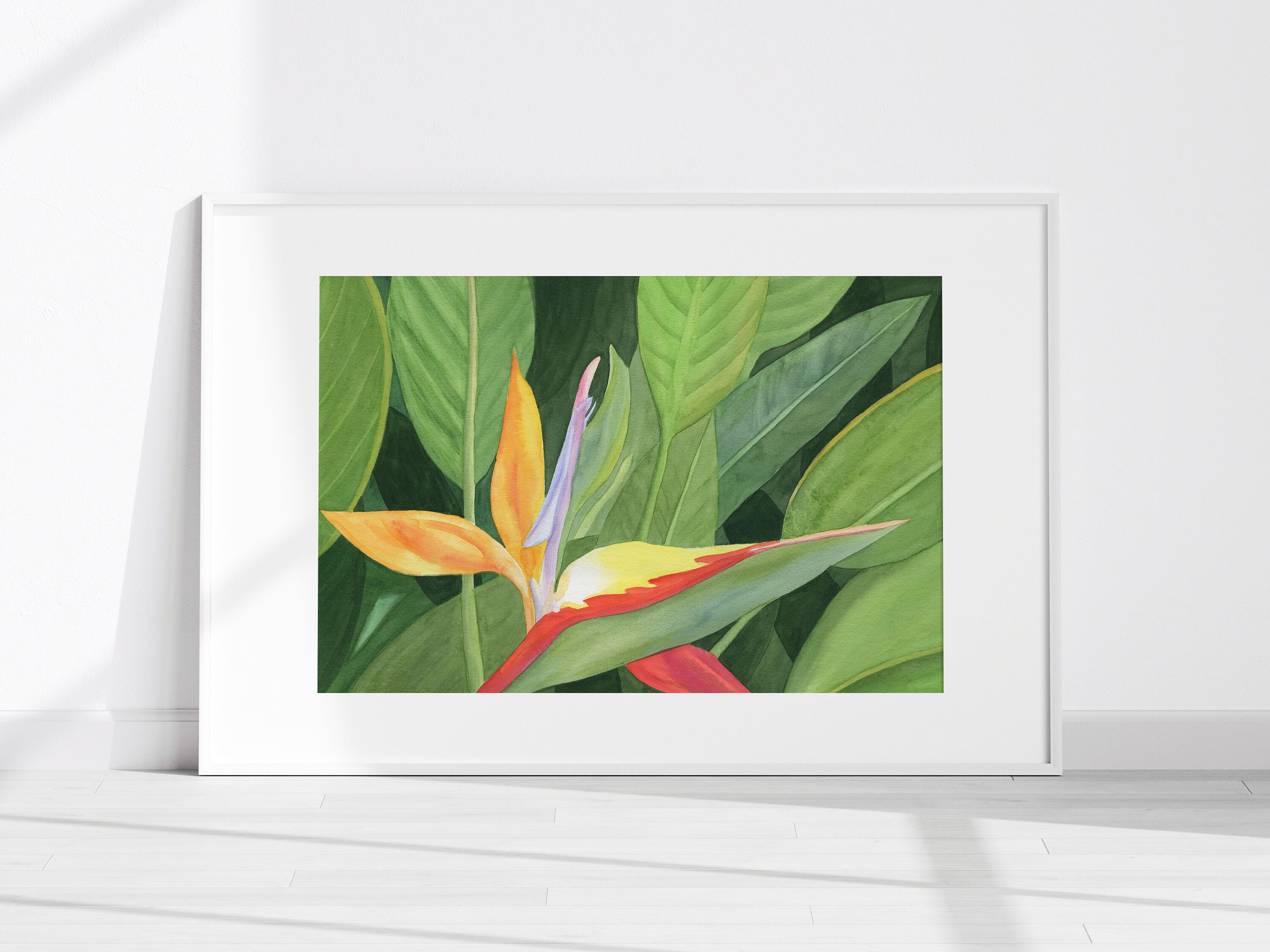 Bird of Paradise Watercolor Print 5 X 7 8 X 10 10 X 12 11 - Etsy