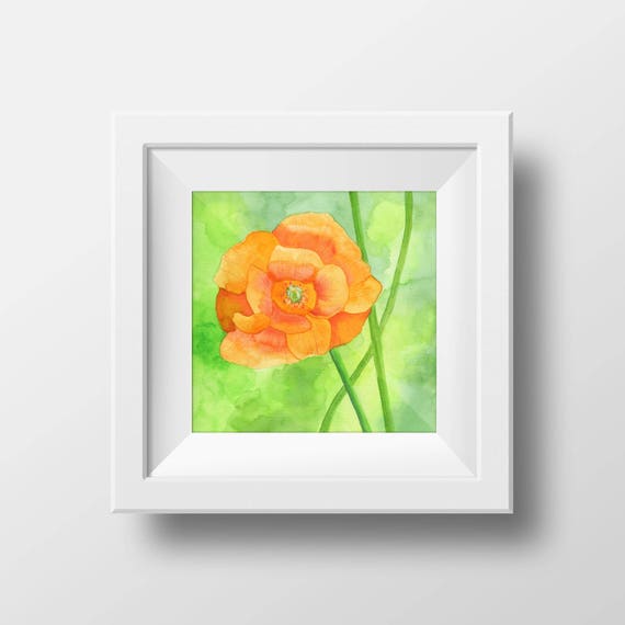 8” x 8” Watercolor Orange Poppy Print Watercolor Art & Collectibles ...