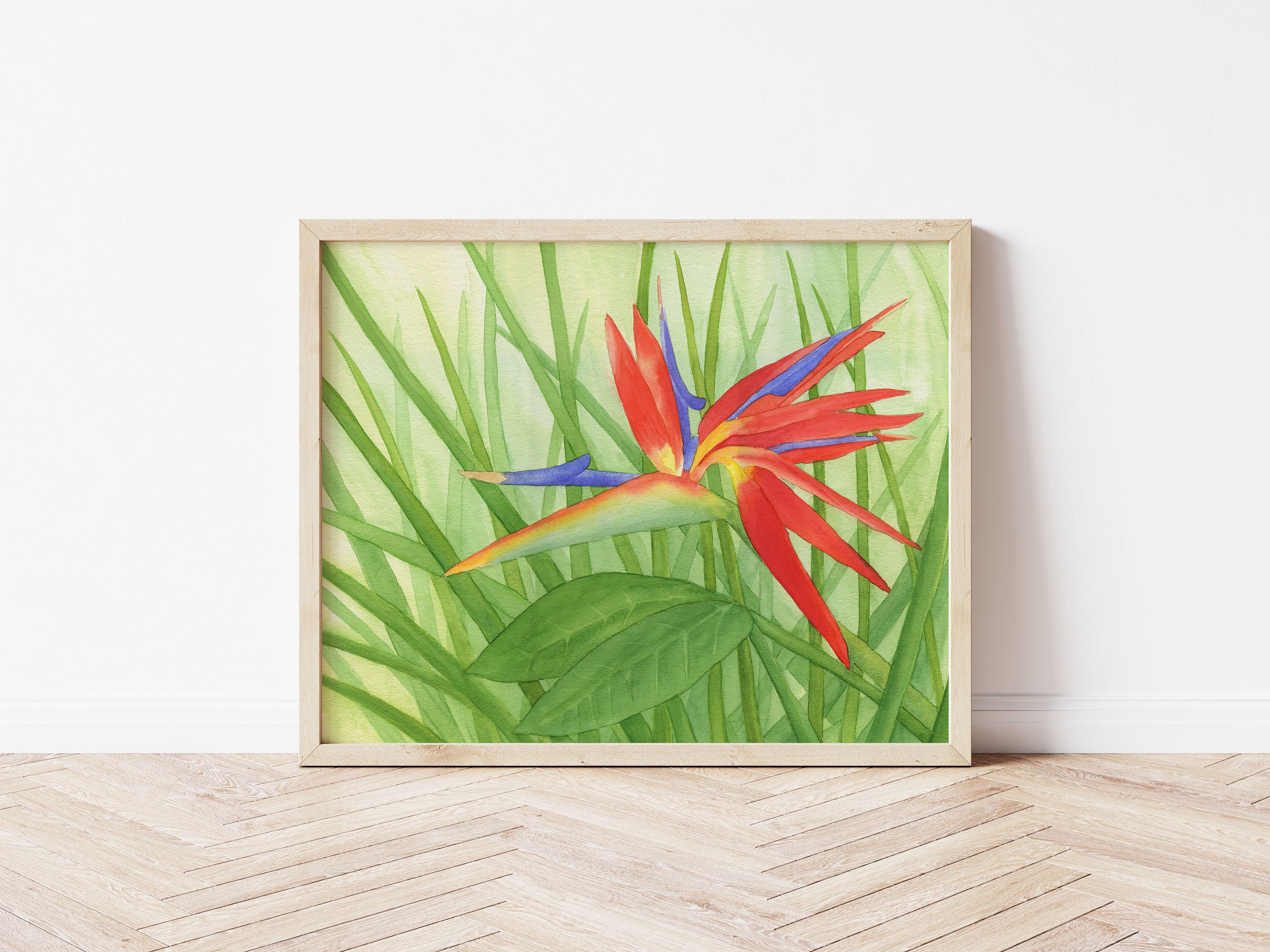 Bird of Paradise Watercolor Print, 5 X 7, 8 X 10, 10 X 12, 11 X 14, or ...