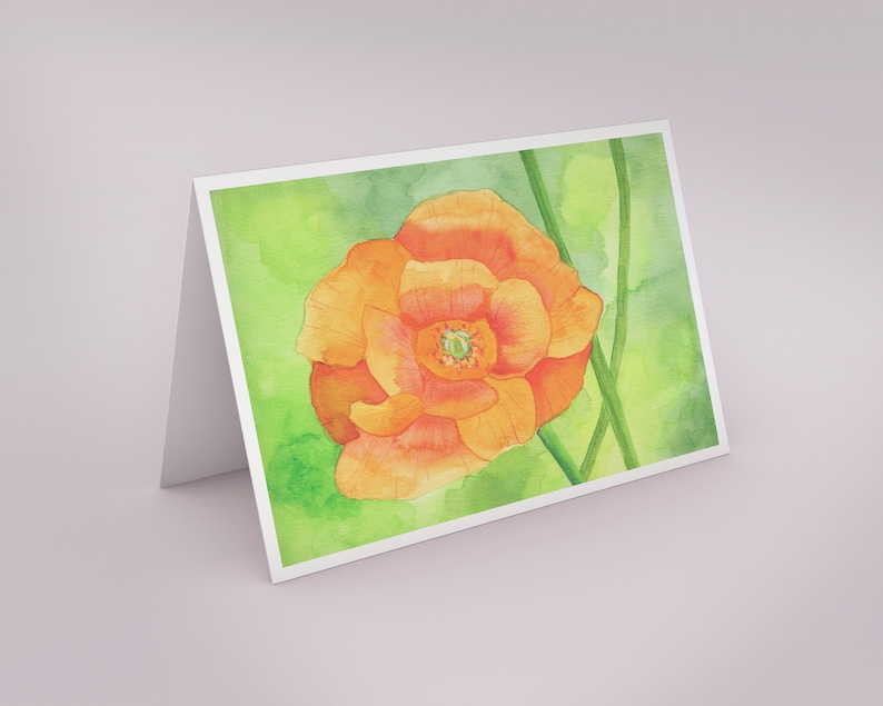 Poppy Note Card Set of Eight From Original Watercolors Poppy - Etsy