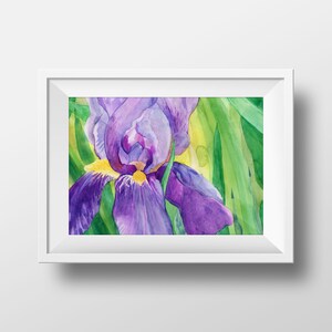 Purple Iris Watercolor Print From Original Watercolor, 5 X 7, 8 X 10 ...