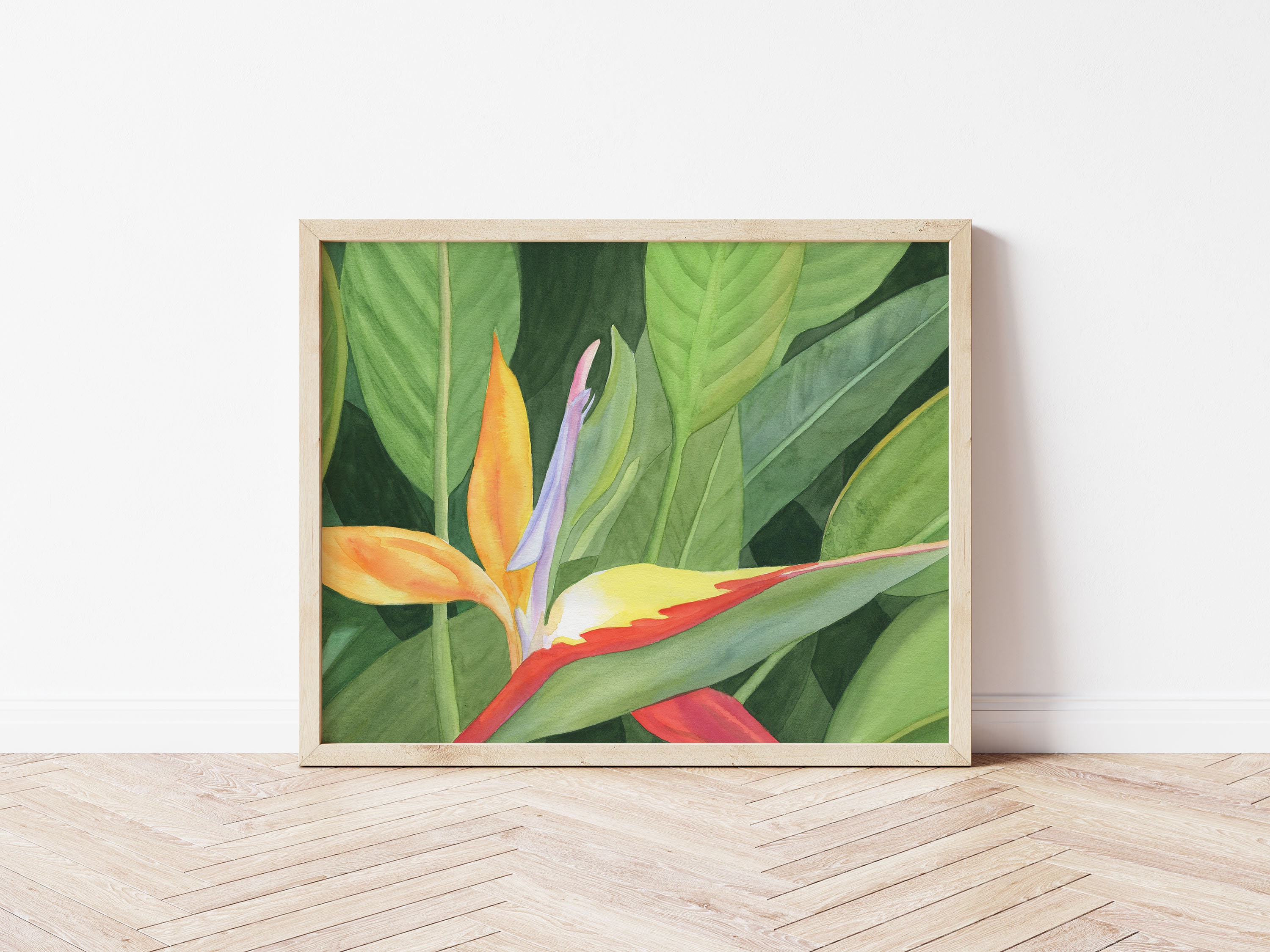 Bird of Paradise Watercolor Print 5 X 7 8 X 10 10 X 12 11 - Etsy