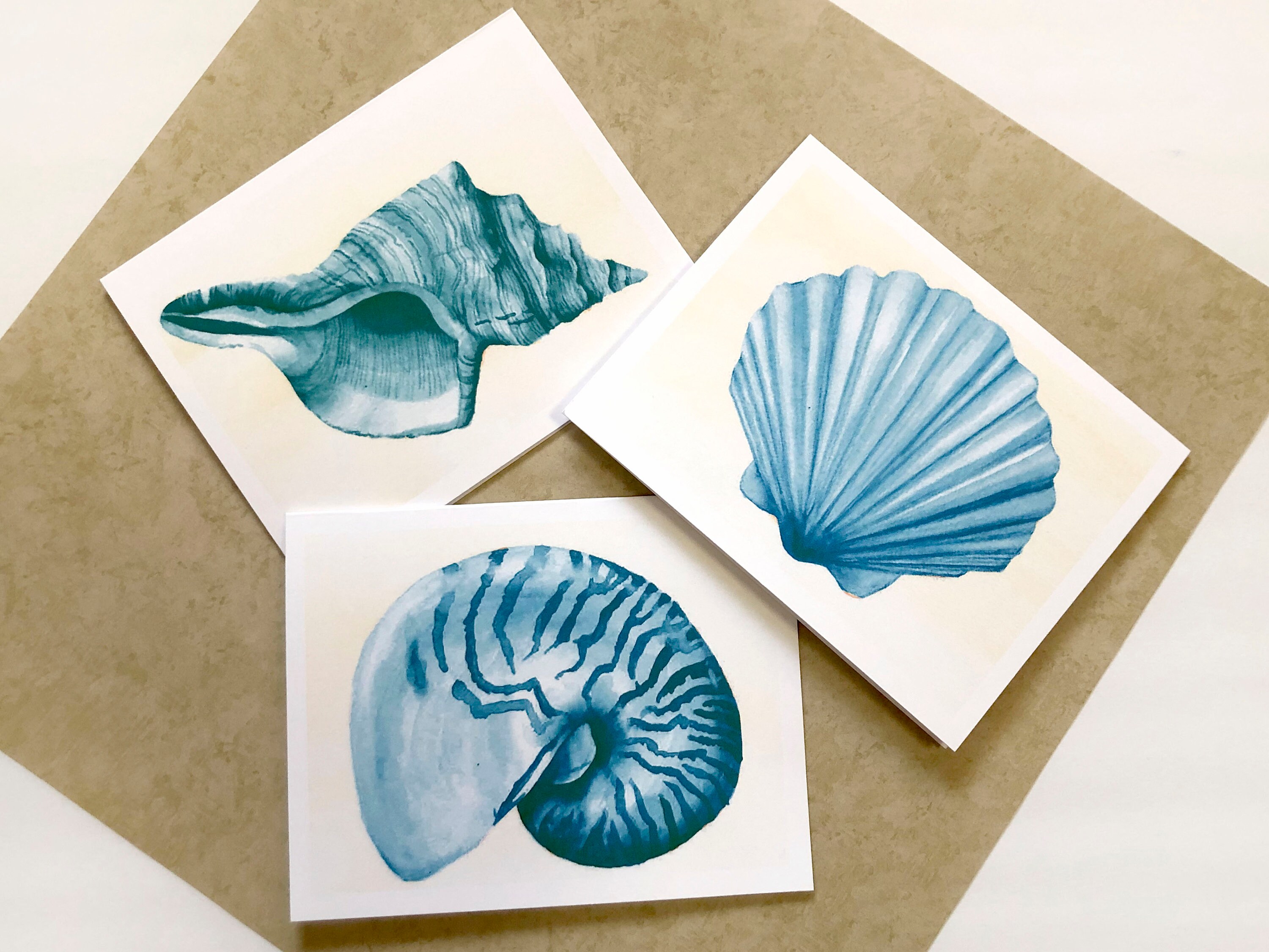 Teal Shell Notecards for Ovarian Cancer Research, Set of 6 Teal Shell ...