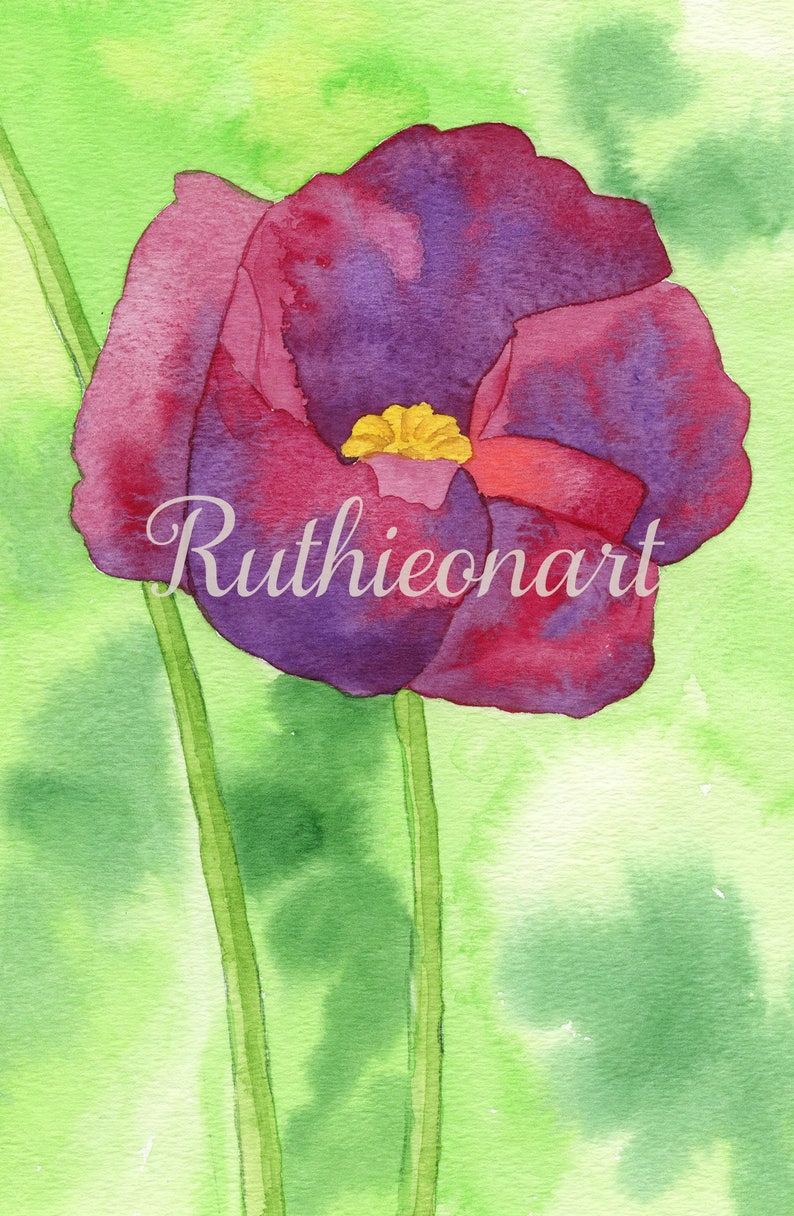 Poppy Note Card Set of Eight from Original Watercolors Poppy | Etsy