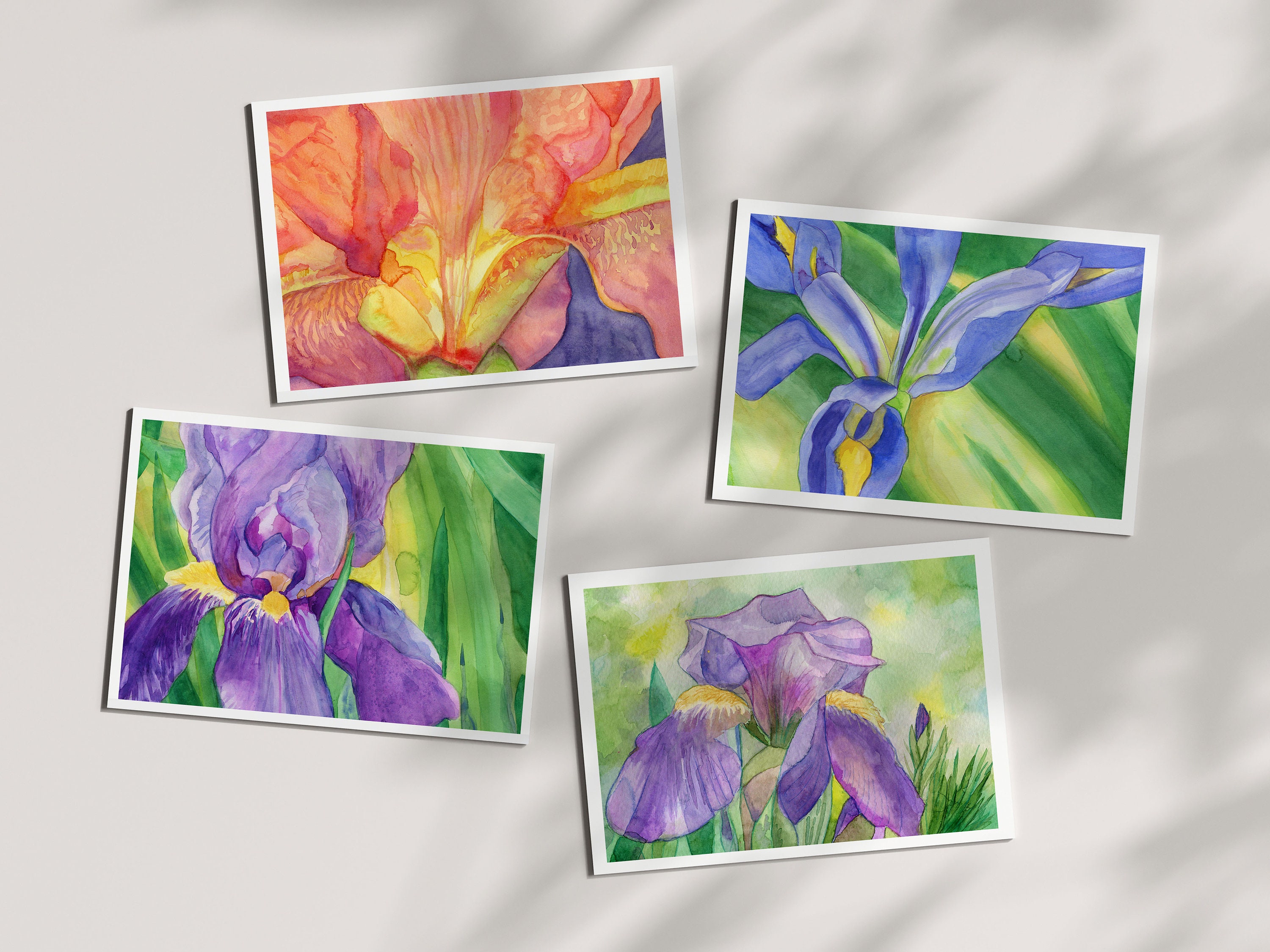 Iris Note Card Set of Eight From Four Original Watercolors - Etsy