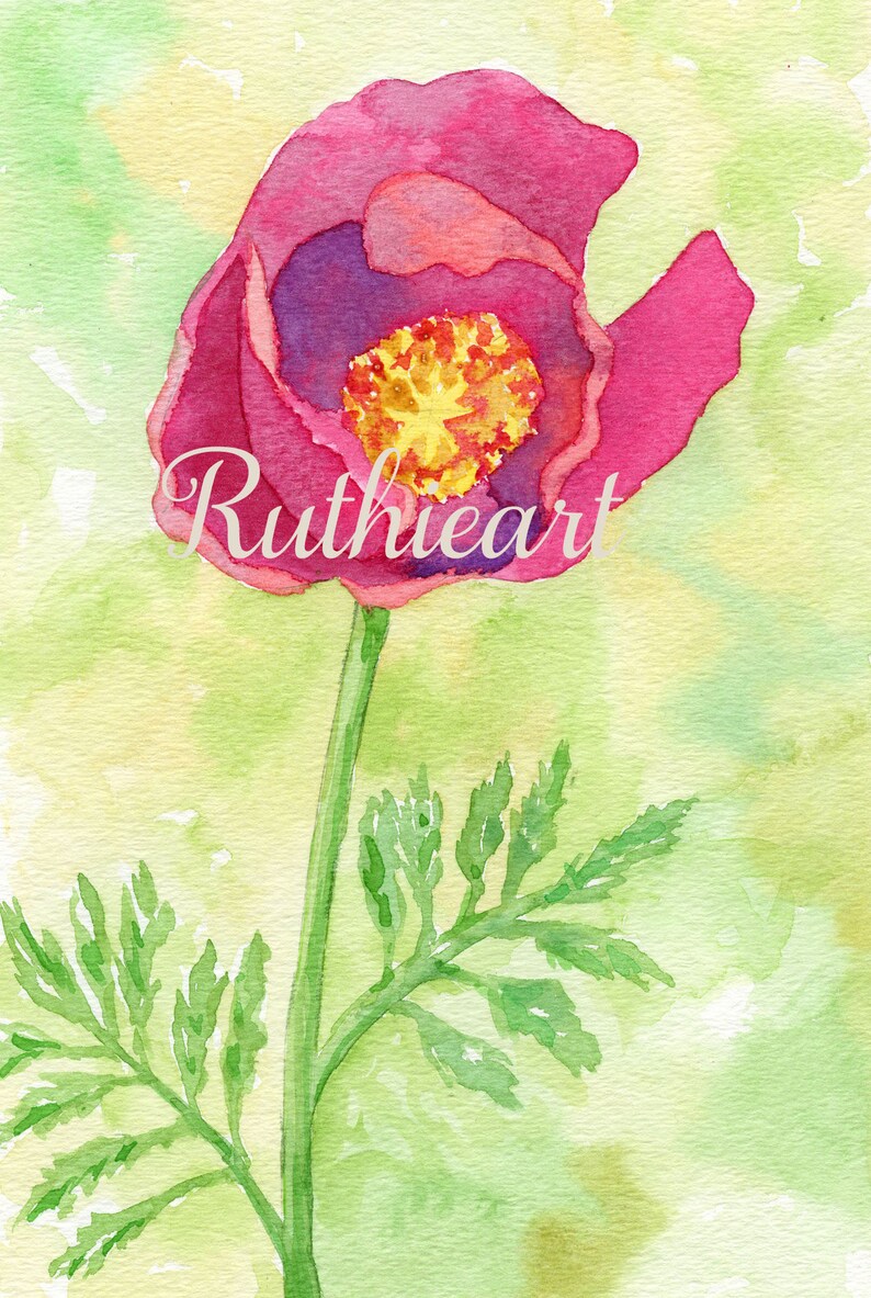 Poppy Note Card Set of Eight from Original Watercolors Poppy | Etsy