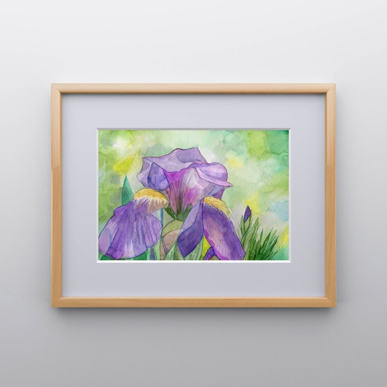 Purple Iris Watercolor Print From Original Watercolor, 5 X 7, 8 X 10 ...