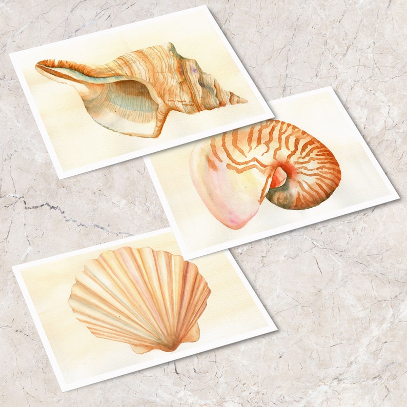 Shell Notecards for Ovarian Cancer Research Set of 6 Shell Note Cards ...