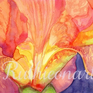 Iris Note Card Set of Eight From Four Original Watercolors | Etsy