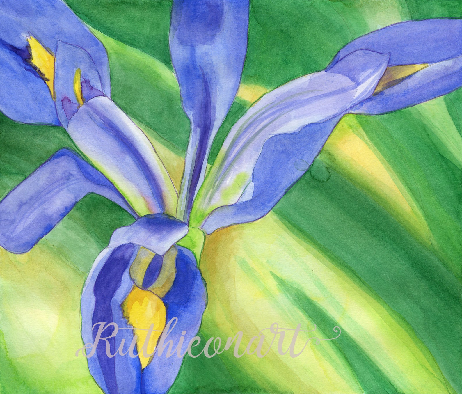 Iris Note Card Set of Eight From Four Original Watercolors | Etsy