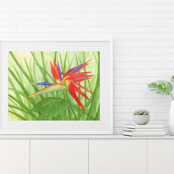 Bird of Paradise Art - Etsy