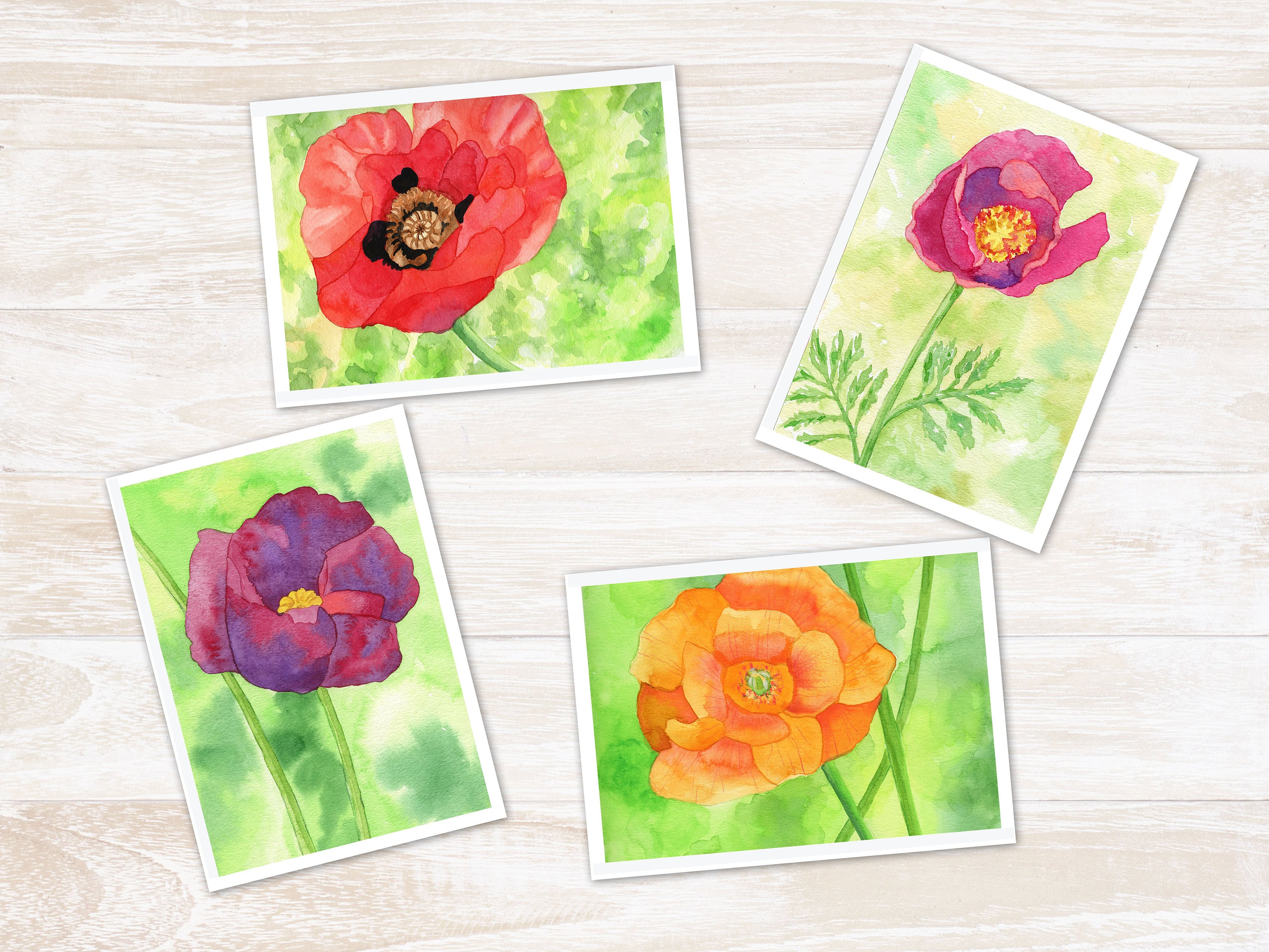 Poppy Note Card Set of Eight From Original Watercolors Poppy - Etsy