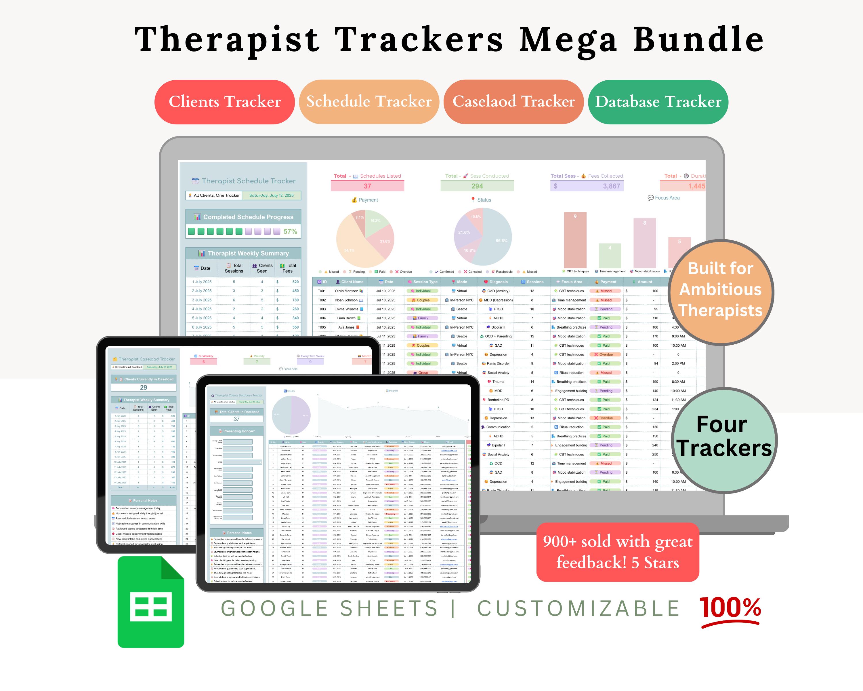 Therapist Client Tracker - Therapist Scheduler - Therapist Caseload ...
