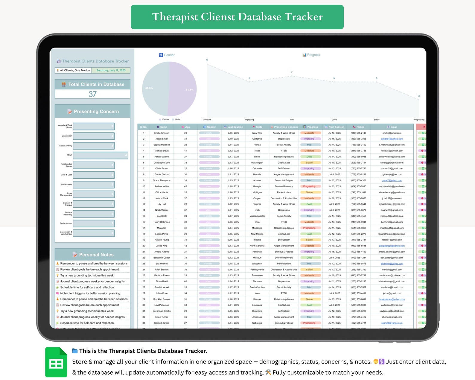 Therapist Client Tracker - Therapist Scheduler - Therapist Caseload ...