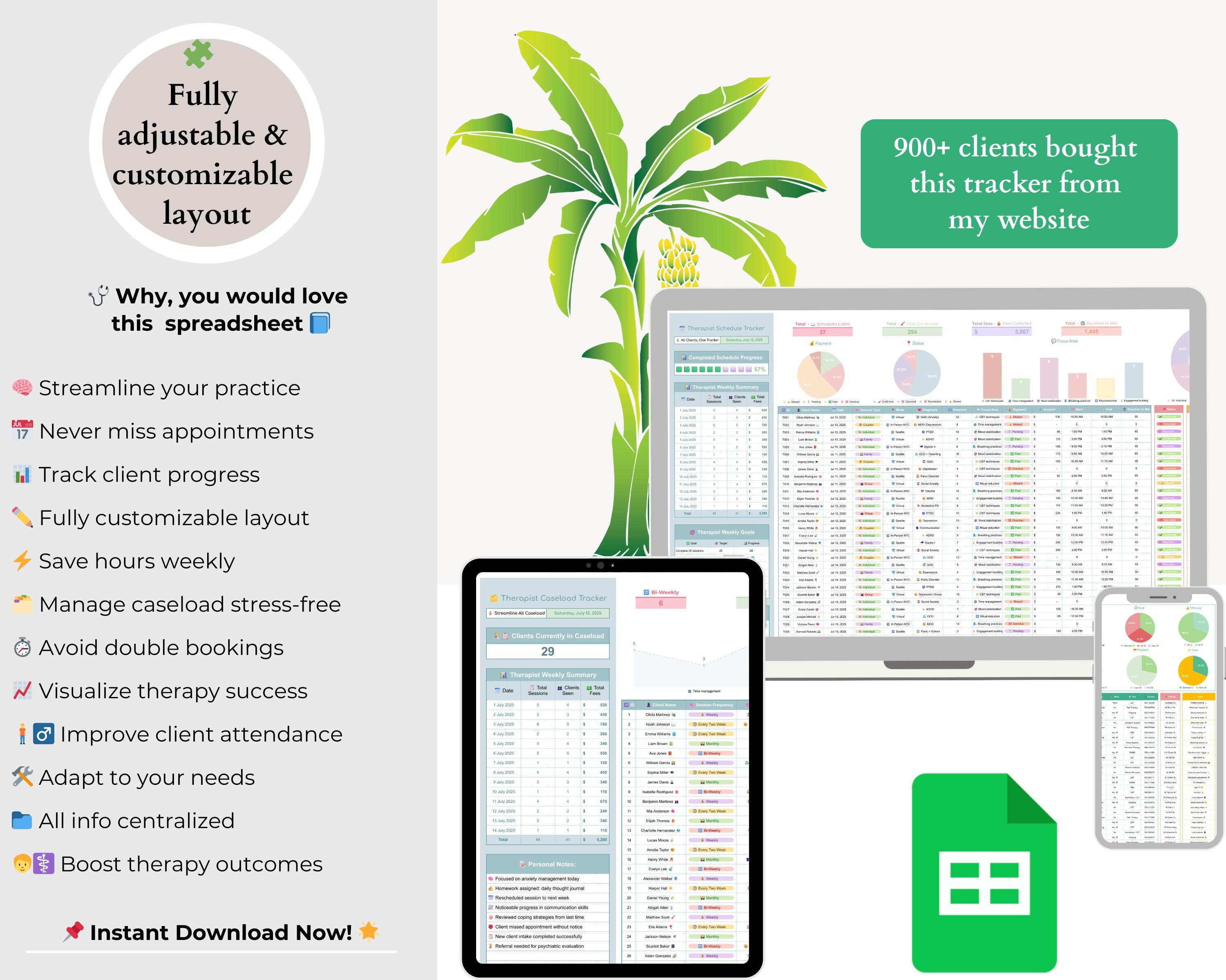 Therapist Client Tracker - Therapist Scheduler - Therapist Caseload ...
